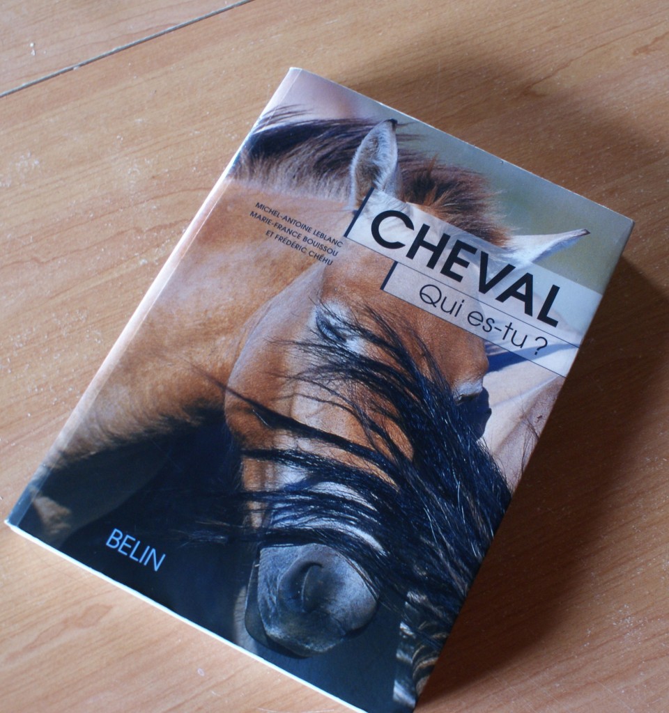 « CHEVAL, Qui es-tu